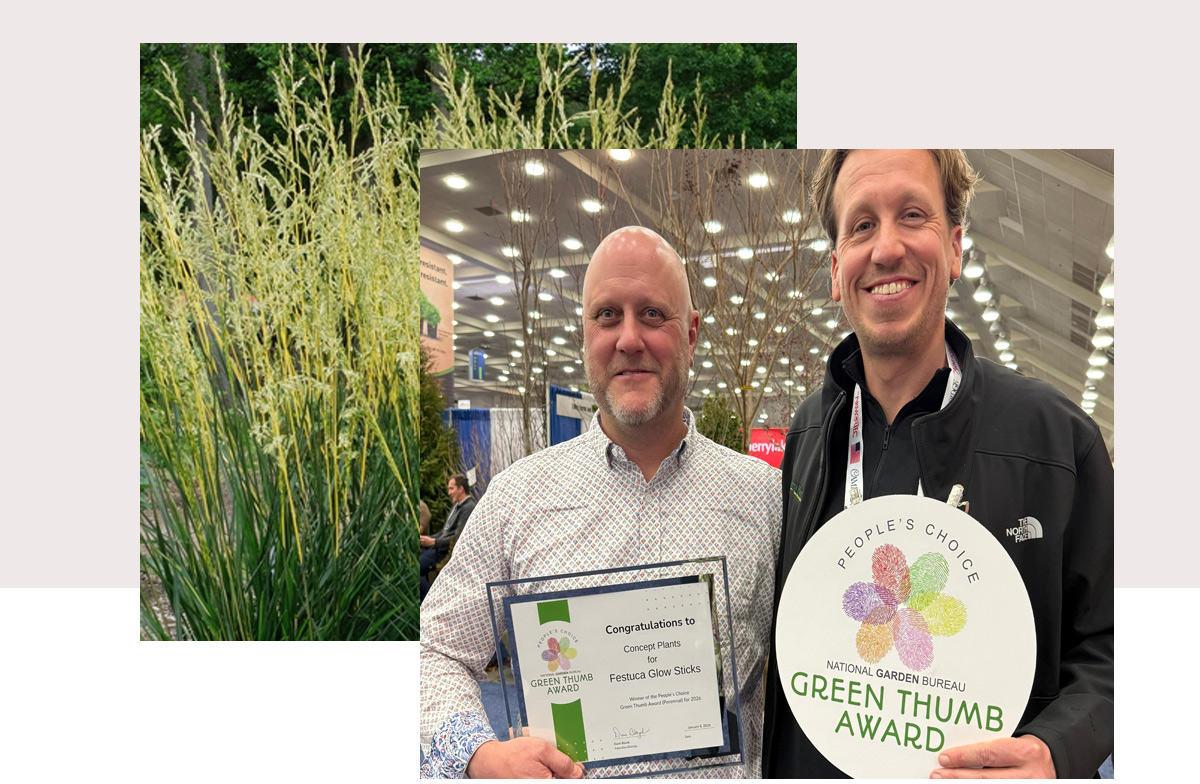 Green Thumb People’s Perennial - Concept Plants